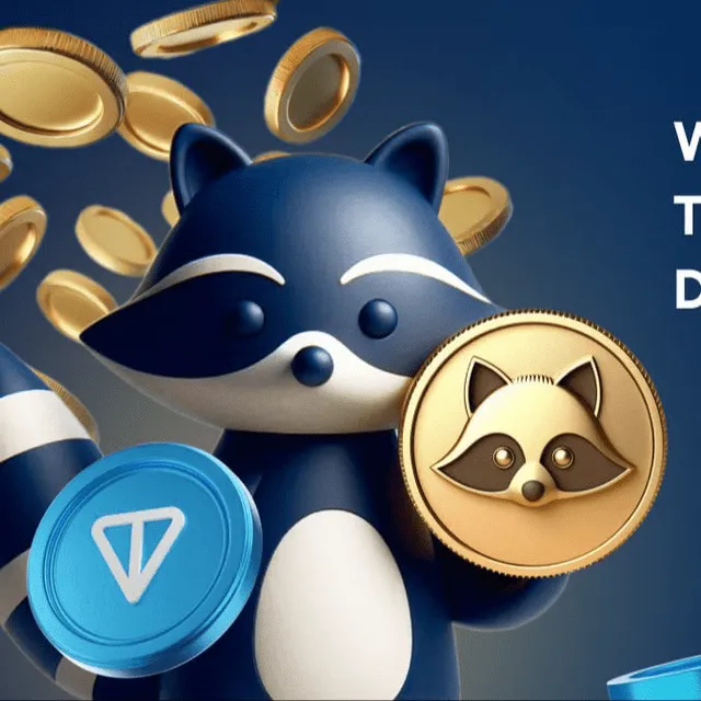 Raccoon Coin: комбо и другие активности дня 23 сентября 2024 года